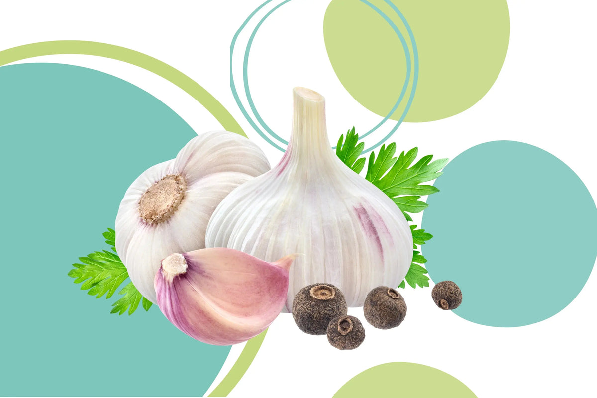 Organic Garlic: Health Benefits, Uses, Side Effects and More - – HerbEra