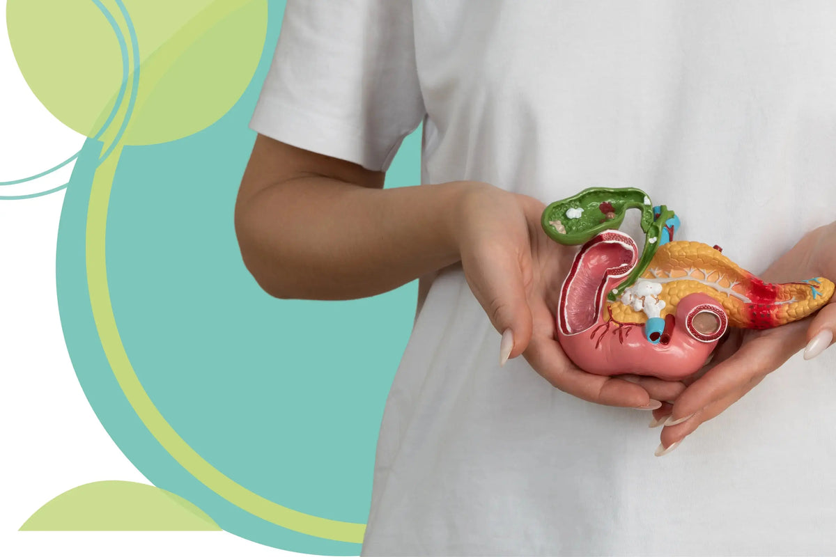 Top Herbs to Pancreas Naturally - HerbEra Top Herbs to