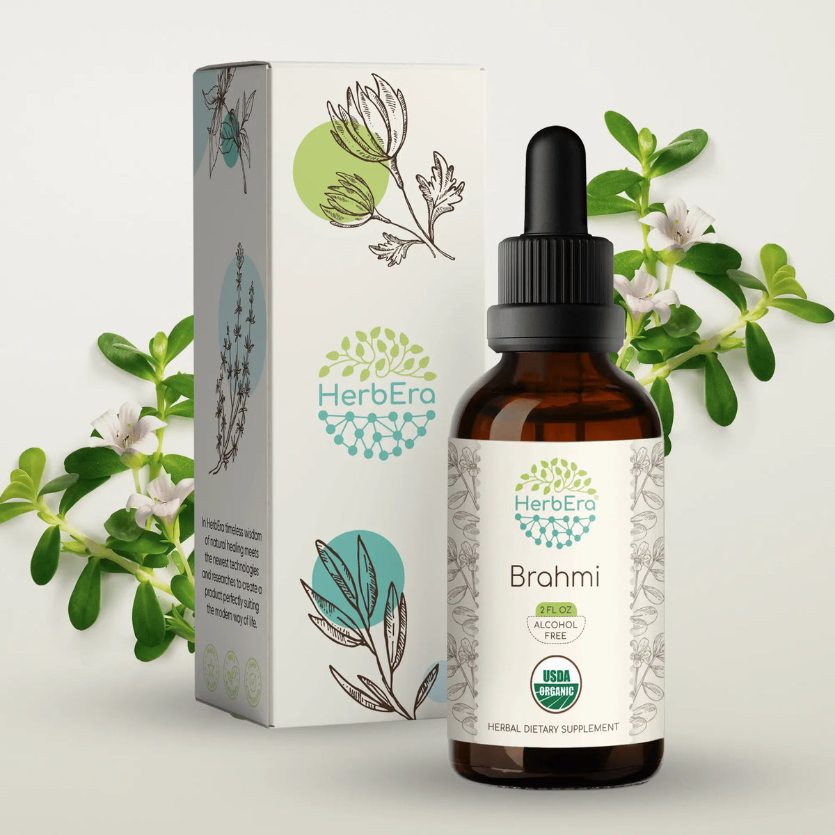Brahmi Tincture - Supports Mental Clarity & Memory Focus – HerbEra