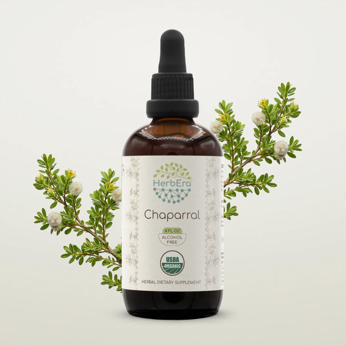 Chaparral Tincture – Supports Liver & Kidney Wellness – HerbEra