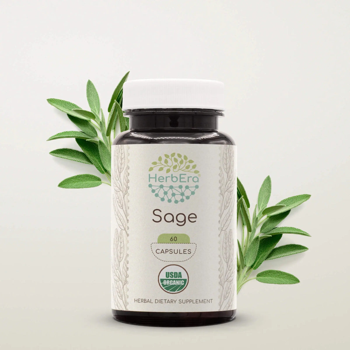 Sage Capsules – Supports Women’s Wellness & Balance – HerbEra