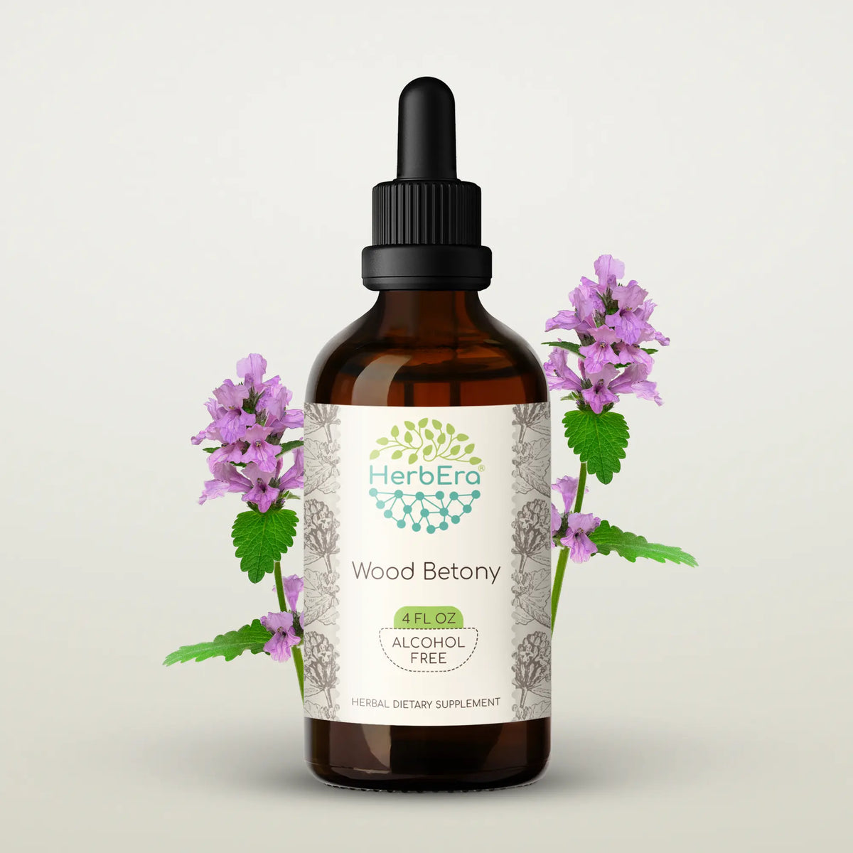 Wood Betony Tincture – Support Mental Clarity & Cognitive Wellness ...